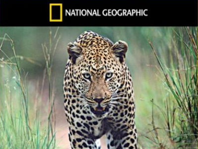 National Geographic Documentaries - Aired Order - All Seasons - TheTVDB.com