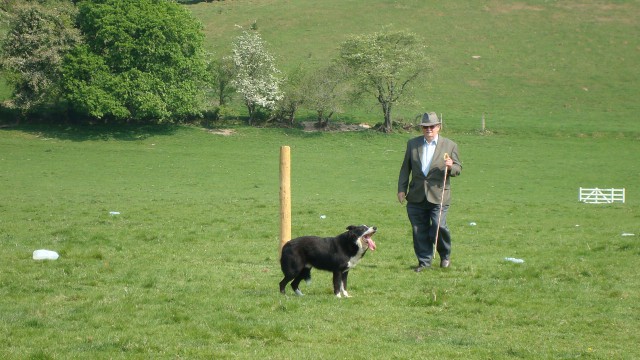 One Man and his Dog - TheTVDB.com