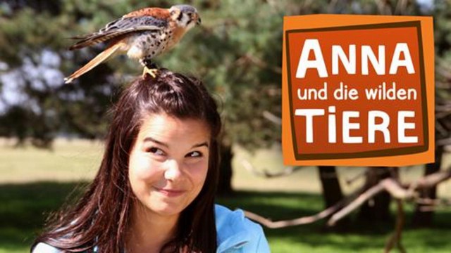 Anna und die wilden Tiere - TheTVDB.com