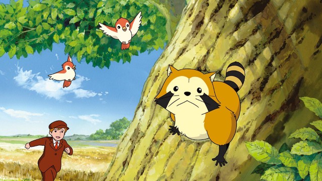 Rascal the Raccoon - TheTVDB.com