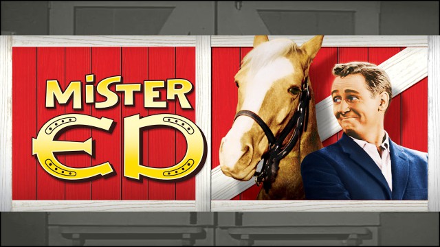 Mister Ed - TheTVDB.com