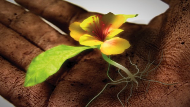 Strange Days On Planet Earth - TheTVDB.com