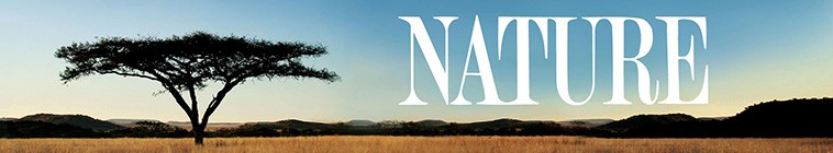 Nature - TheTVDB.com