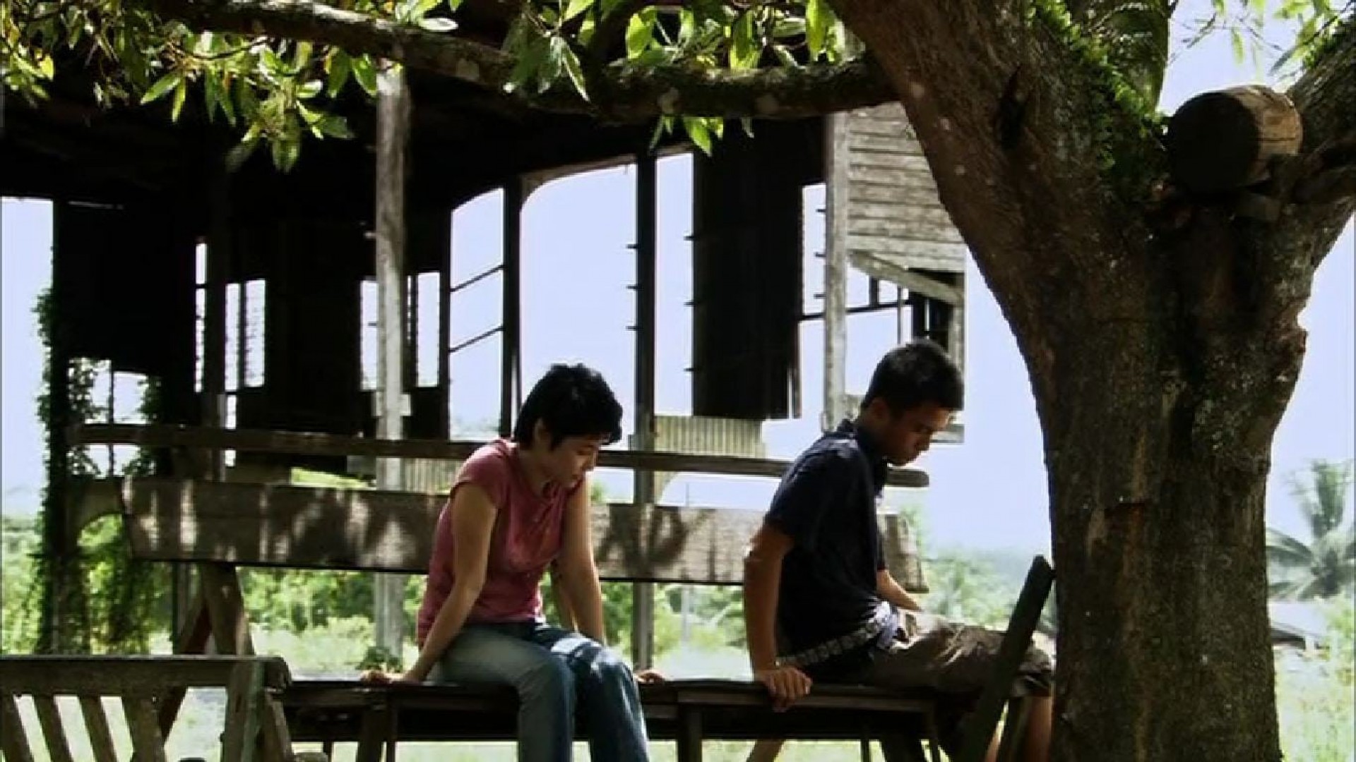 Rain Dogs (2006) - Plex