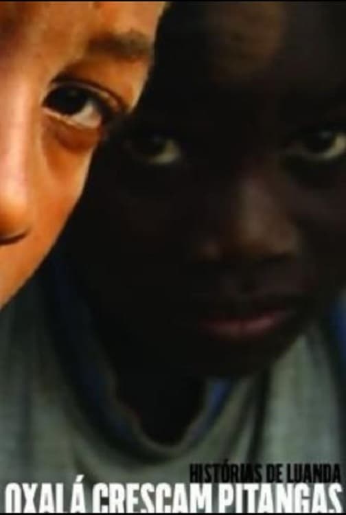 Tales of Luanda: Hope the Pitanga Cherries Grow | TV Time