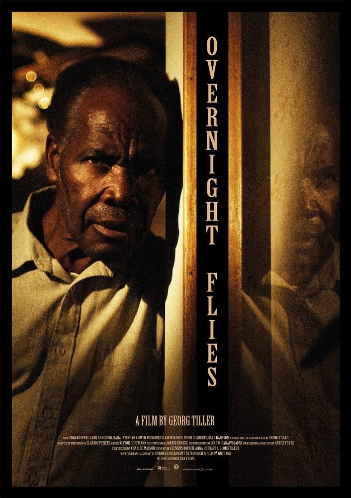 Overnight Flies | TV Time