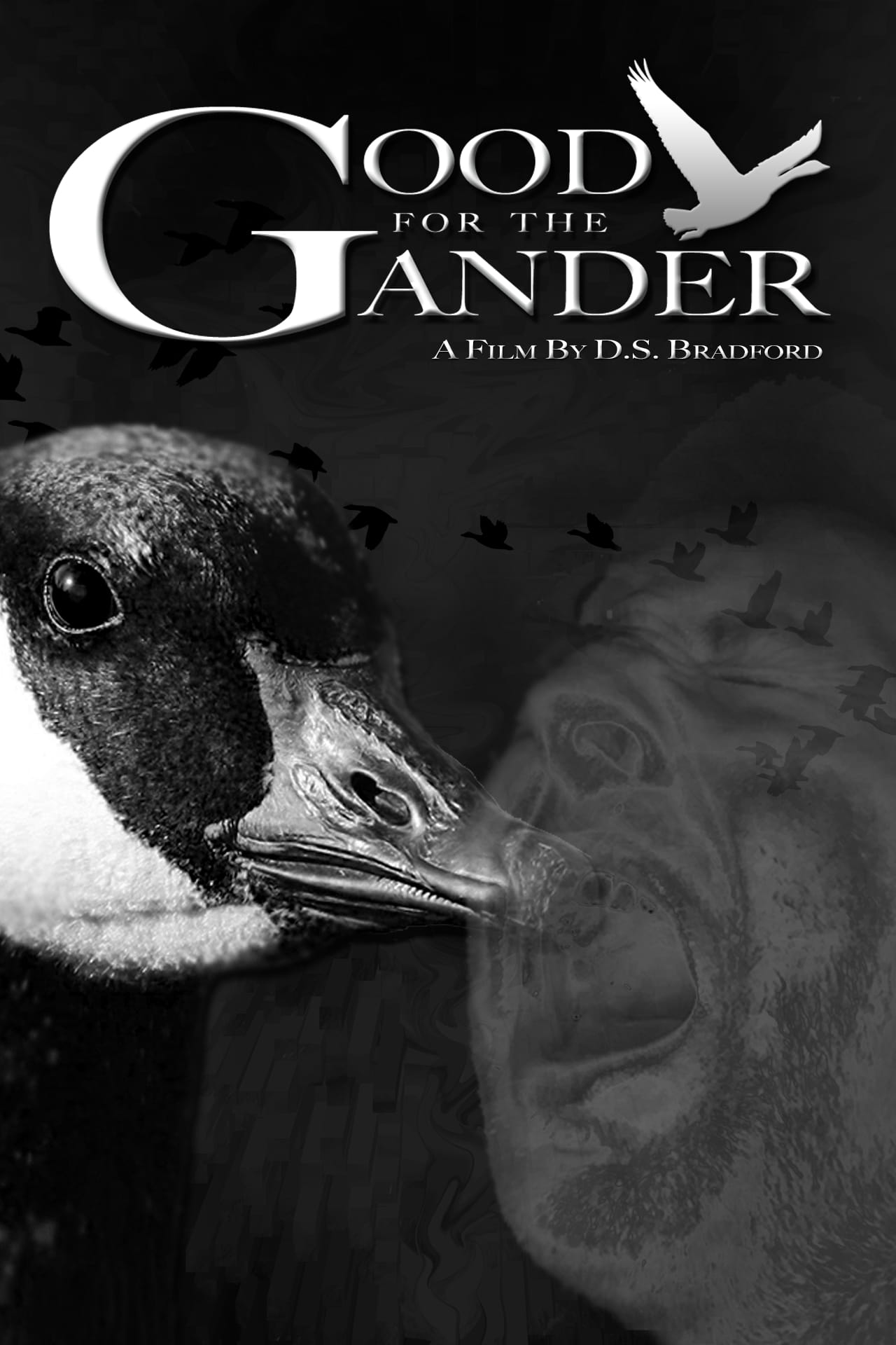 Good for the Gander | TV Time