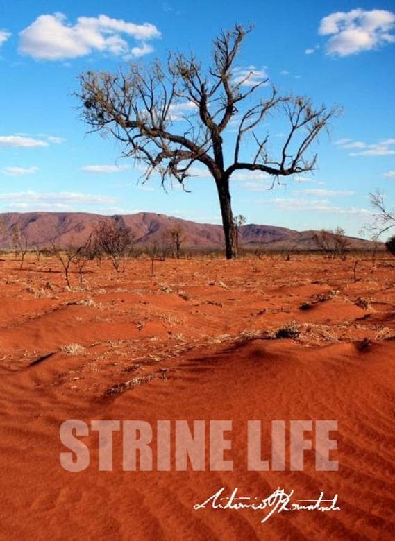 Strine Life | TV Time