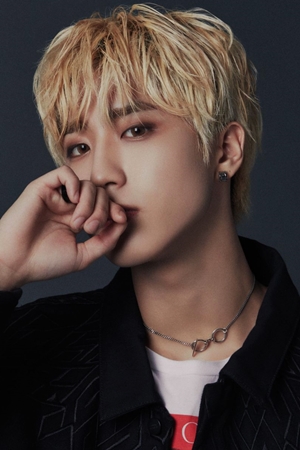 Han in FANDOM TOUR: STRAY KIDS - TheTVDB.com