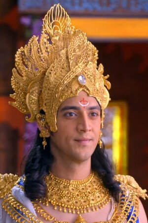 RadhaKrishn - TheTVDB.com