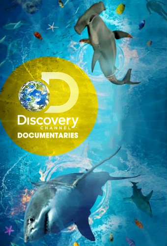 Discovery Channel Documentaries - TheTVDB.com