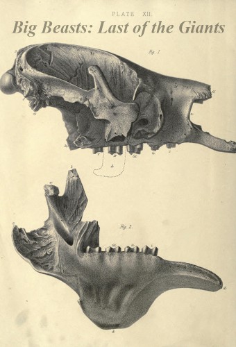 Big Beasts: Last of the Giants - TheTVDB.com
