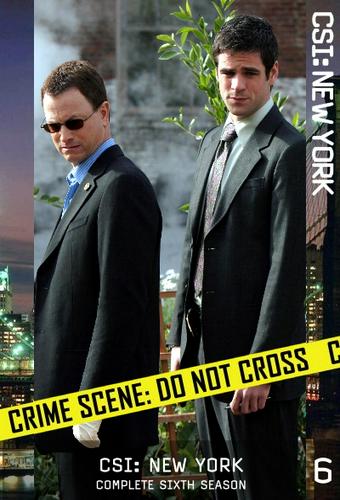 CSI: NY - Aired Order - Season 6 - TheTVDB.com