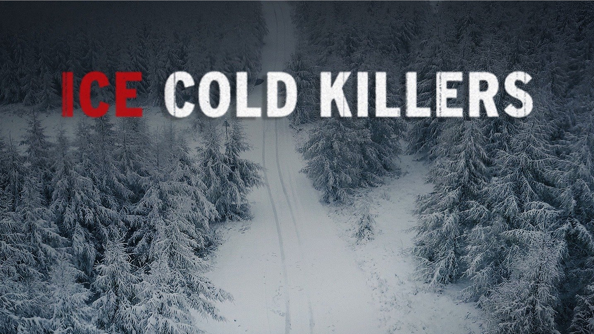 Ice Cold Killers - Aired Order - Season 4 - TheTVDB.com