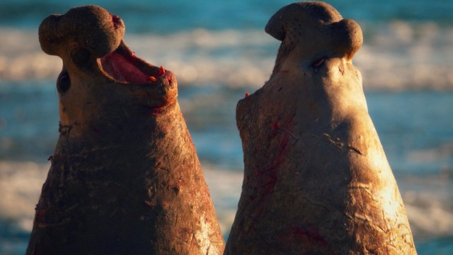 Big Beasts: Last of the Giants - TheTVDB.com