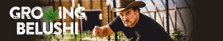 Growing Belushi - TheTVDB.com