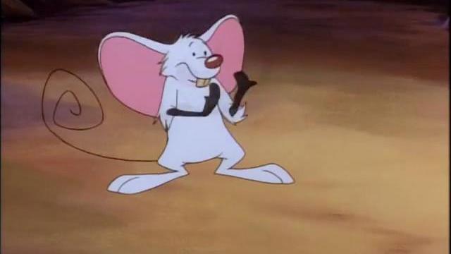 Timon & Pumbaa - Aired Order - All Seasons - TheTVDB.com