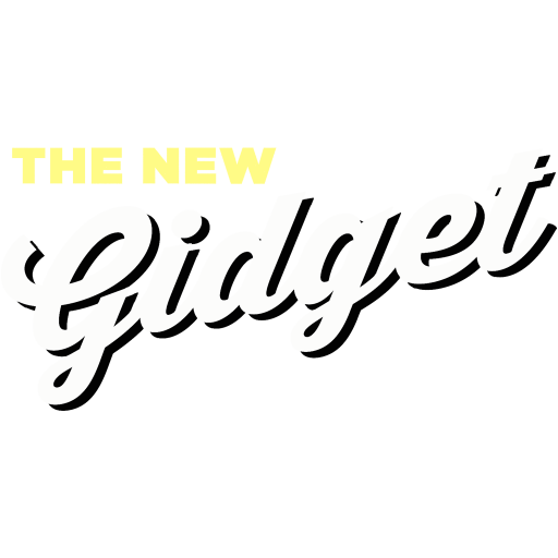 The New Gidget - TheTVDB.com
