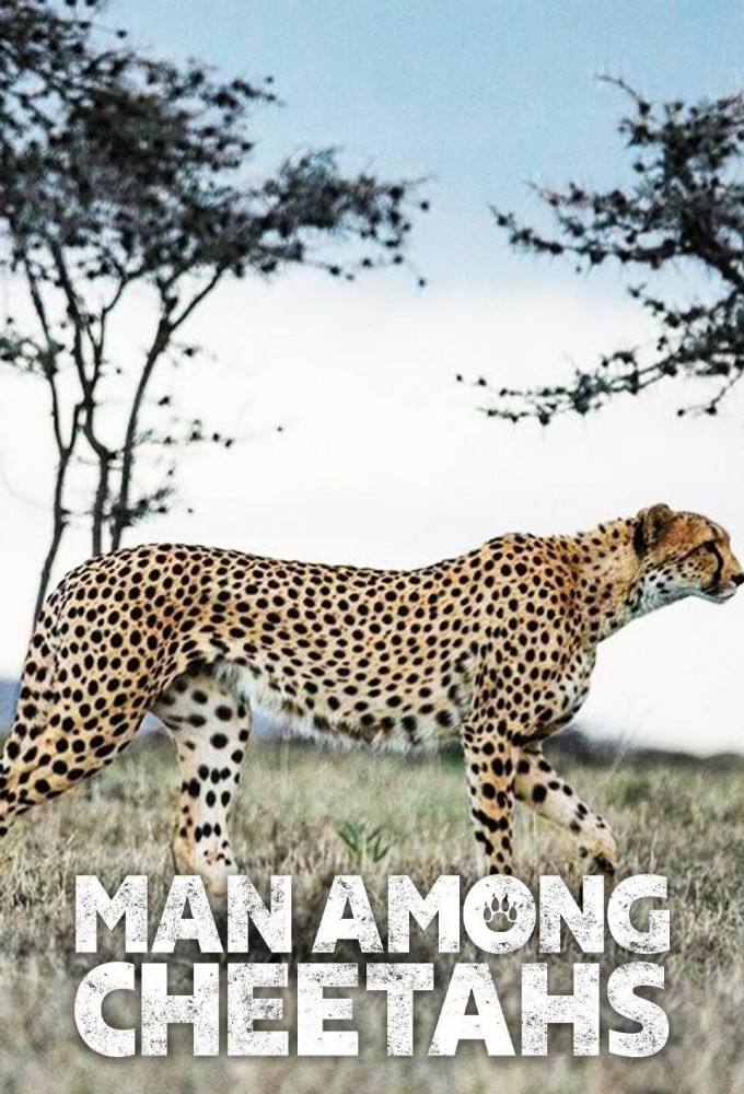 Man Among Cheetahs | TV Time