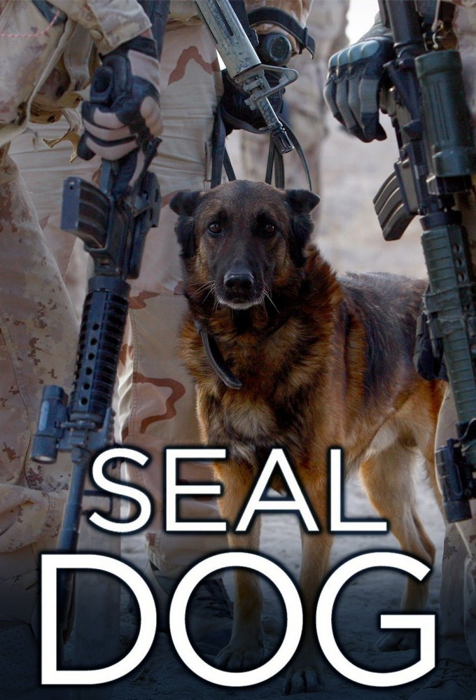 SEAL Dog | TV Time