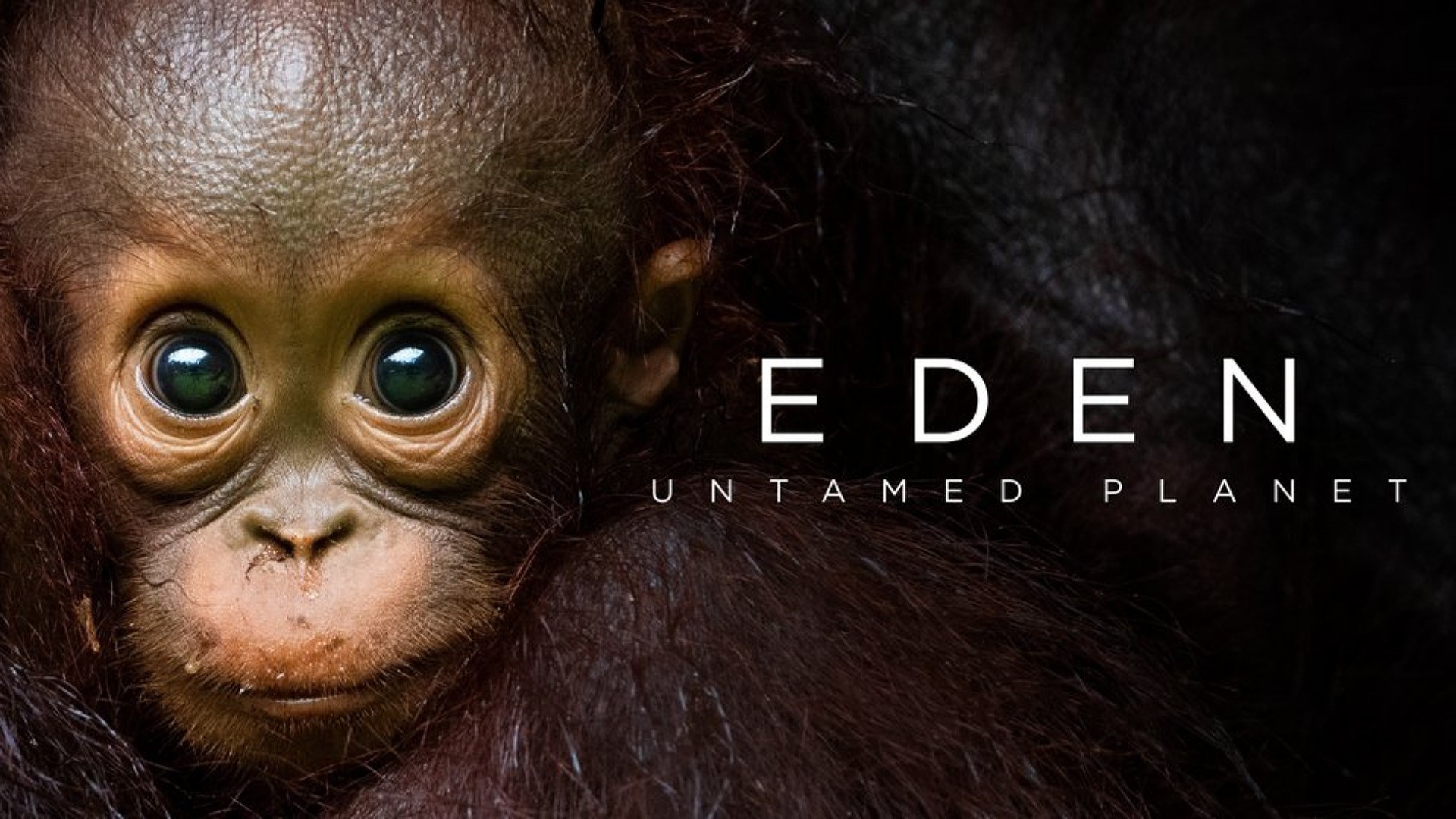 Eden: Untamed Planet - TheTVDB.com