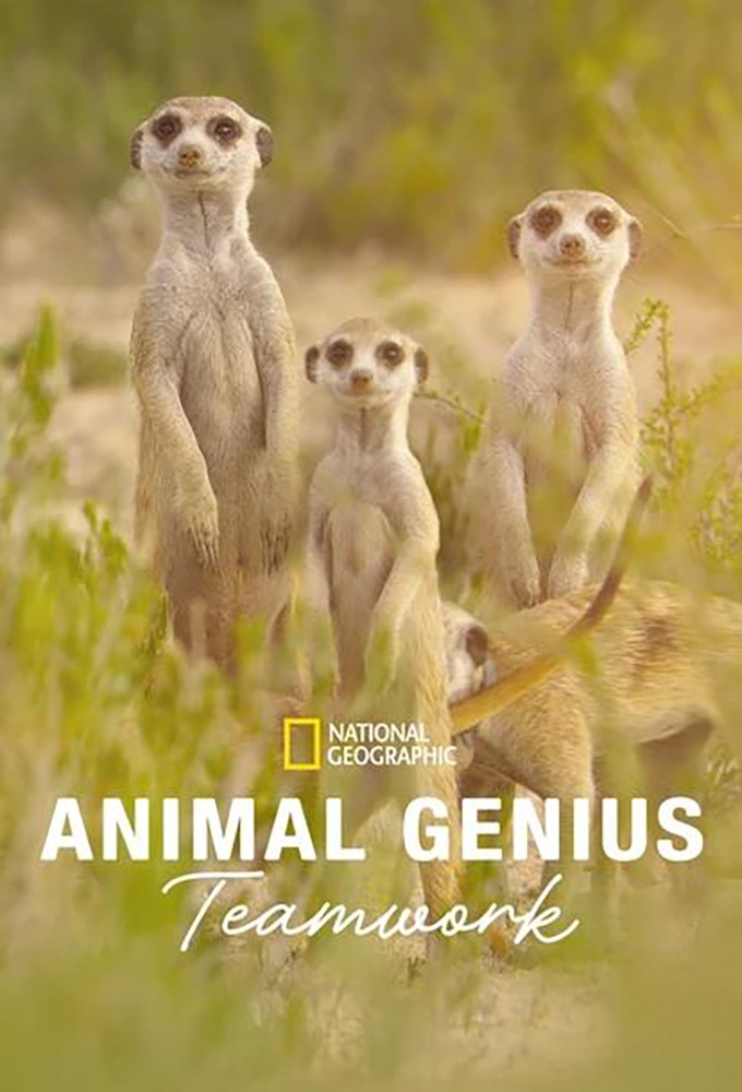 Animal Genius - TheTVDB.com